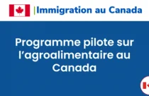Le programme fédéral des travailleurs qualifiés au Canada (PFTQ)